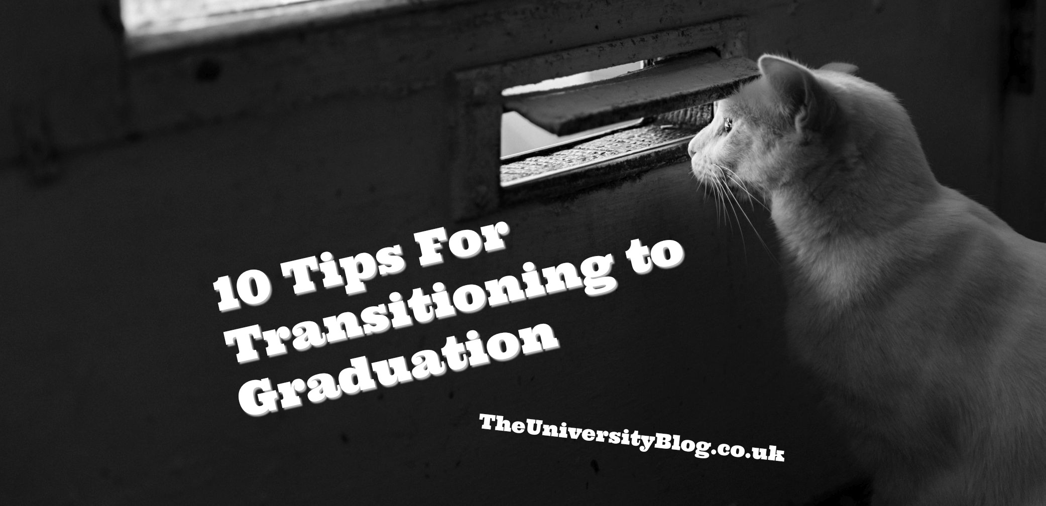 10 Tips For Transitioning to Graduation | TheUniversityBlog